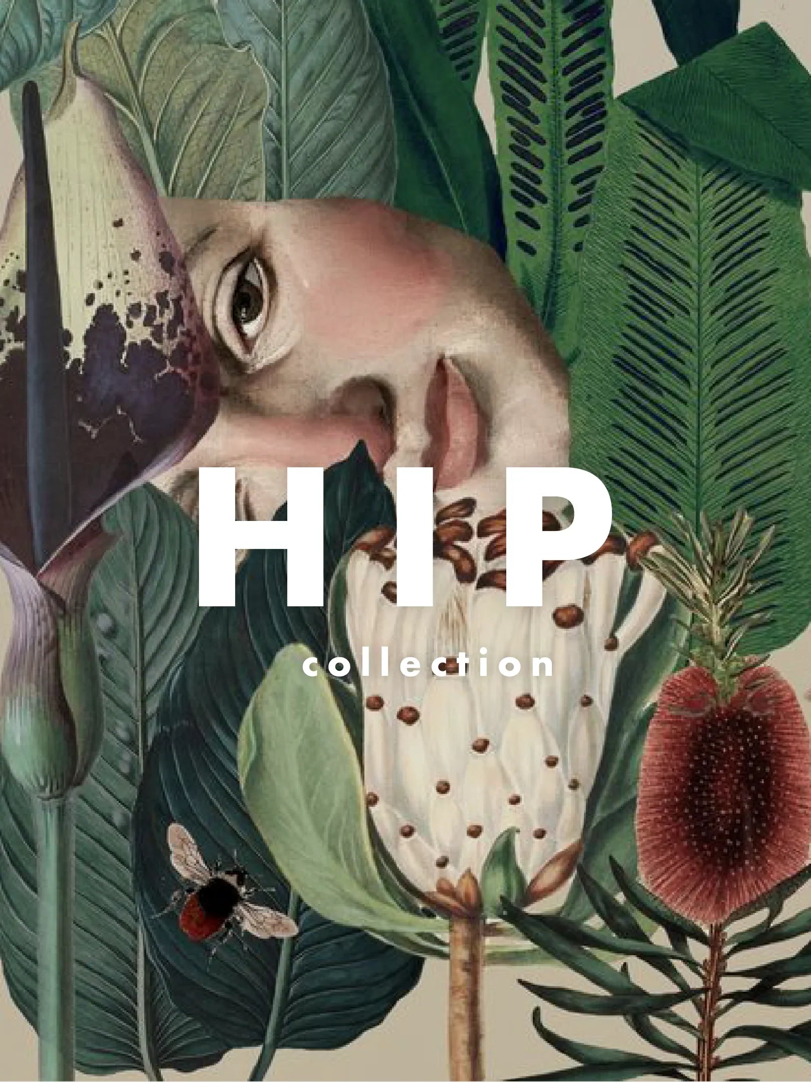 Hip Collection SS26 – Sigal Distribution